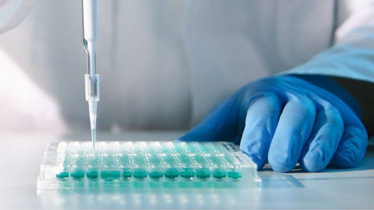 Plates, Microplates and Accessories